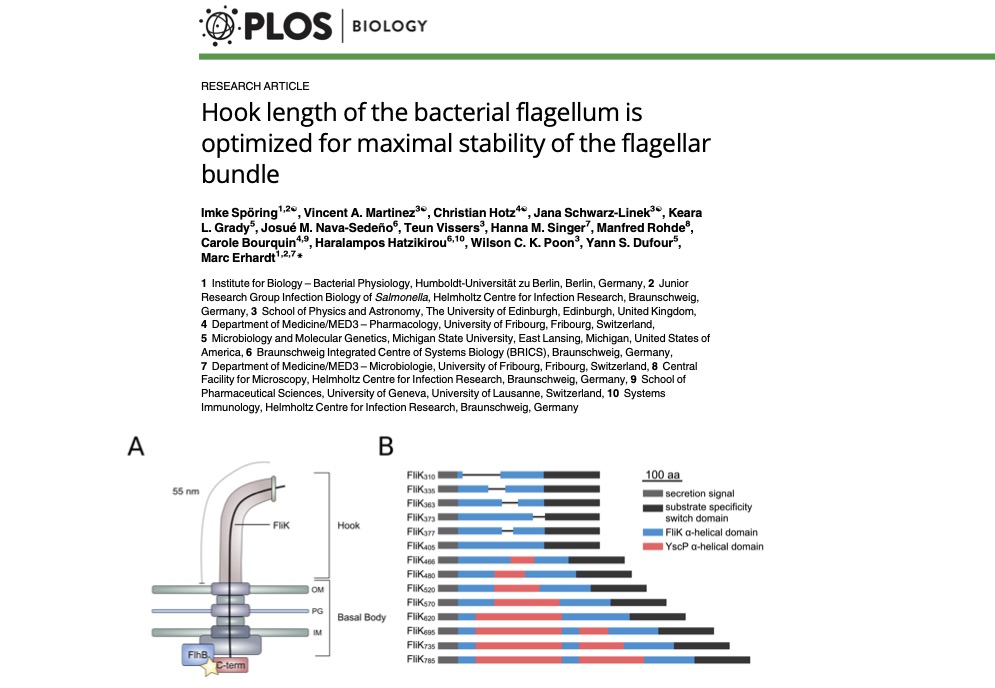 Marc Erhardt lab - Humboldt-Universität zu Berlin, AG Bakterienphysiologie