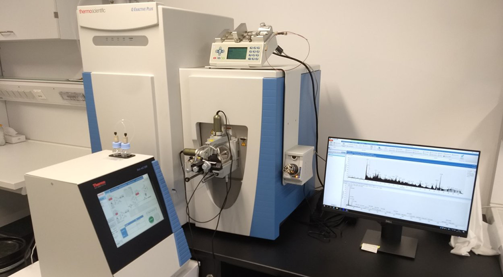 Proteomics at the Kaufmann Lab